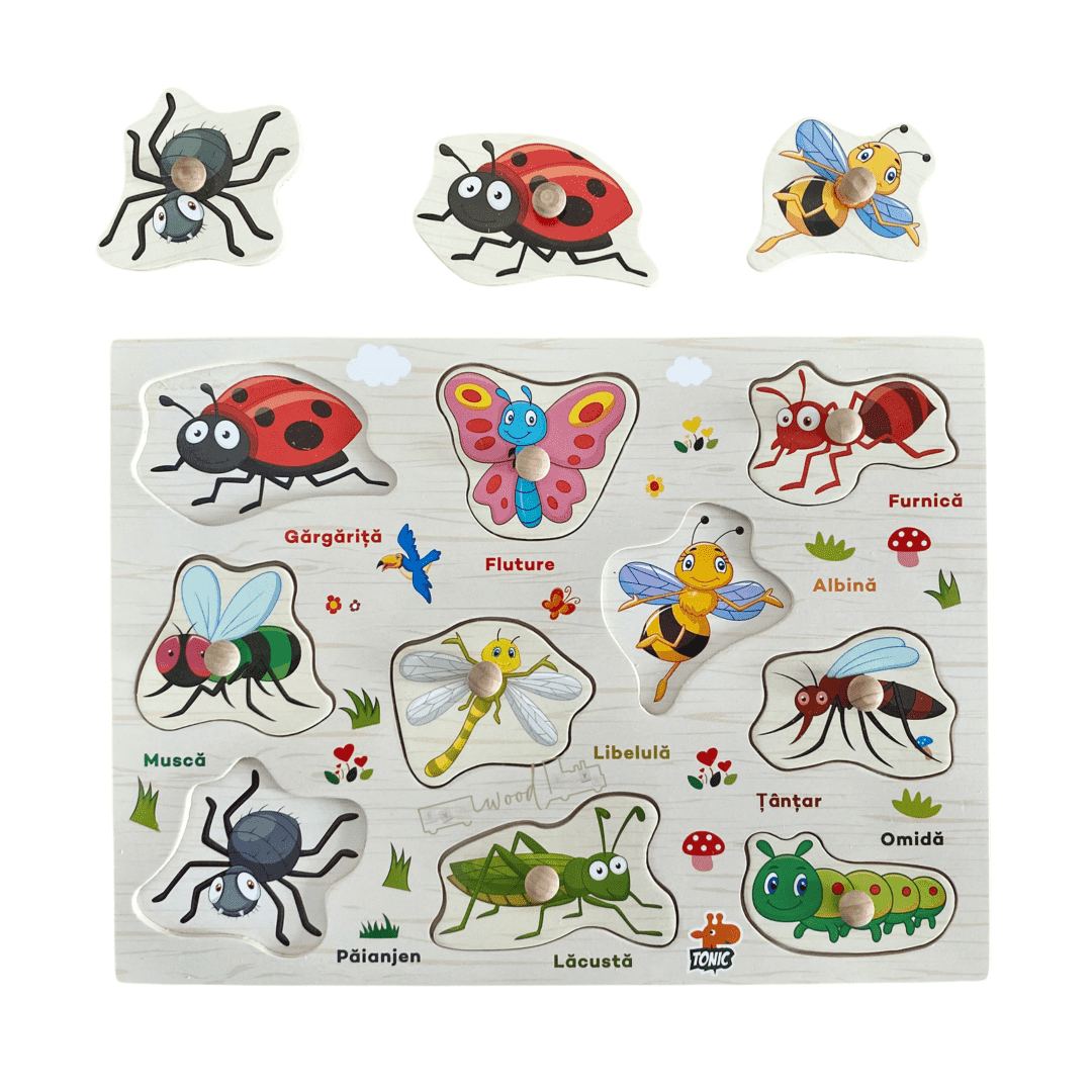 Puzzle incastru din lemn cu insecte in limba romana - Marketplace ...