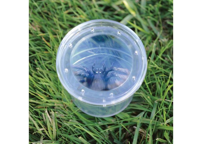 Borcan cu lupa pentru studiu insecte - GeoSafari - Marketplace online ...