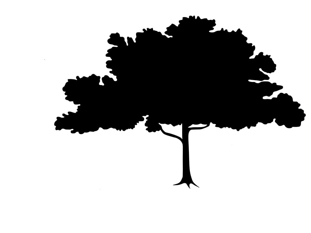 Tabla Scolara sub Forma de Autocolant pentru Scris cu Creta, Copac Mare ...